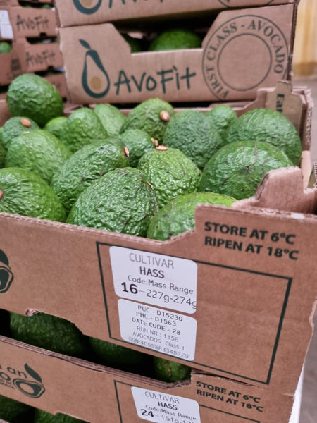 Hass Avocado 4kg – AvoFit